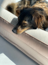 ÚTULNO Luxusní ortopedický pelech pro psy | LEBEDDIE